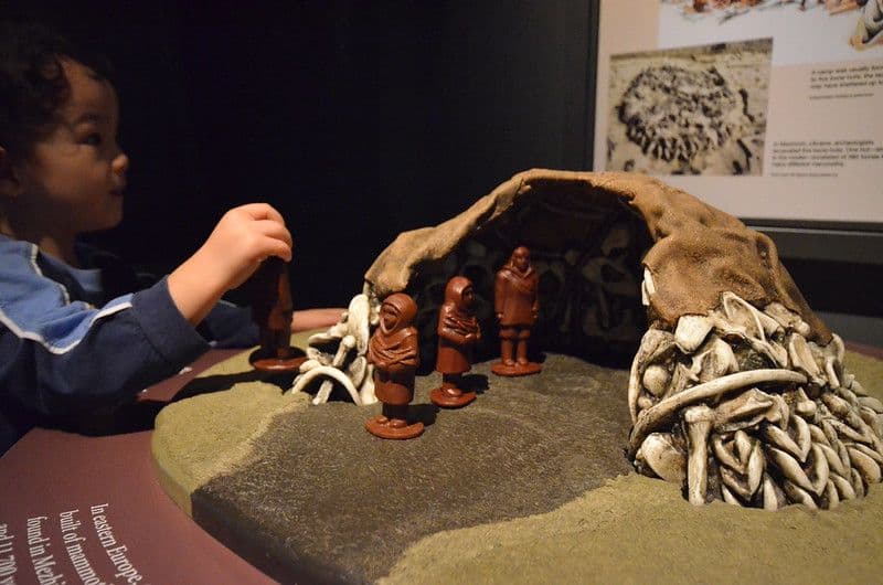 How did cavemen communicate?